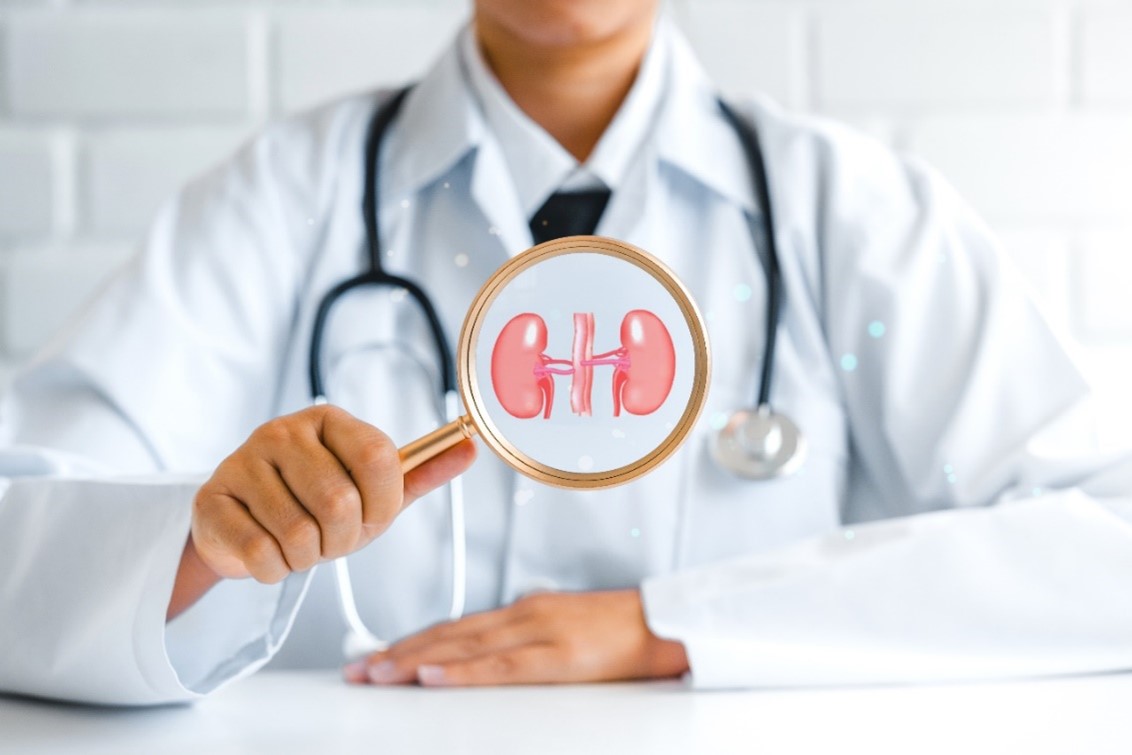 Kidney Health: Preparing for Nephrologist - Clinical Renal Associates